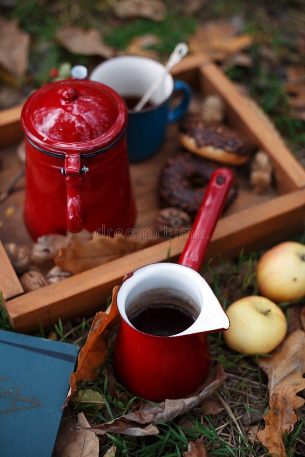 Picnic in the Forest. Tea and Donuts Stock Photo - Image of decoration ...