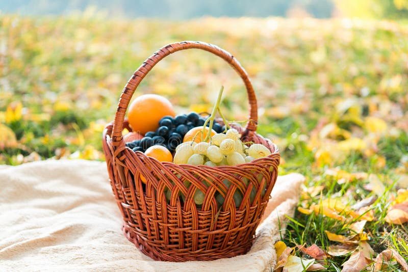 Picnic fruit basket stock image. Image of grapes, garden - 187120797