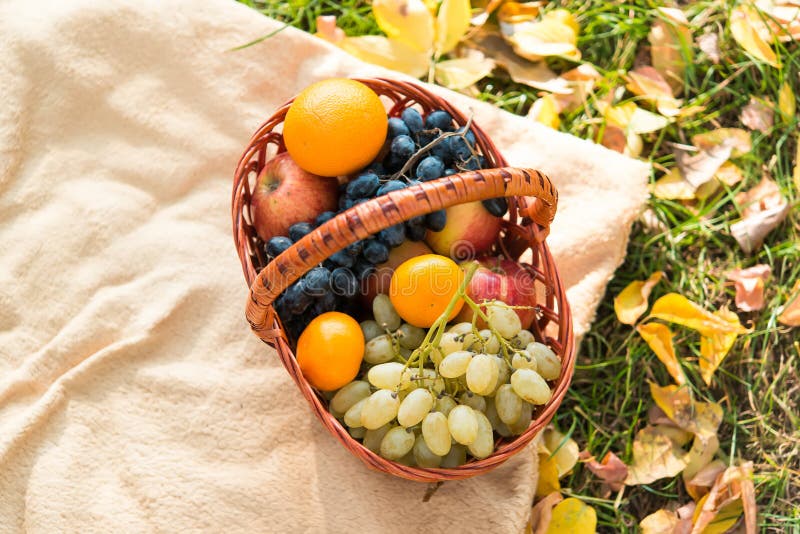 Picnic fruit basket stock image. Image of healthy, freshness - 187120803
