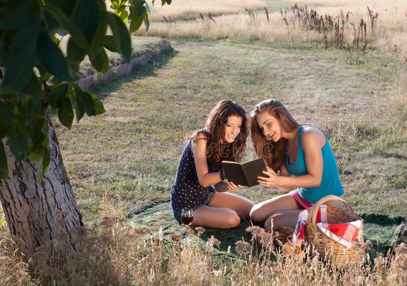 Picnic and good book stock image. Image of field, grass - 25545717