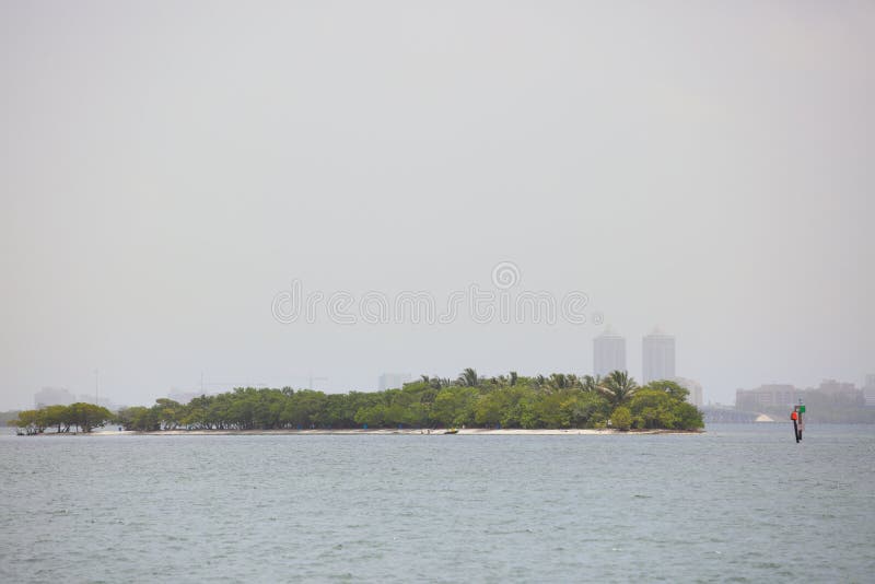 Picnic Island/Wildlife Island Forest Park 2019 III Stock Photo - Image ...