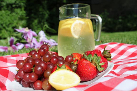 Picnic lemonade stock image. Image of glass, trees, pitcher - 9911111