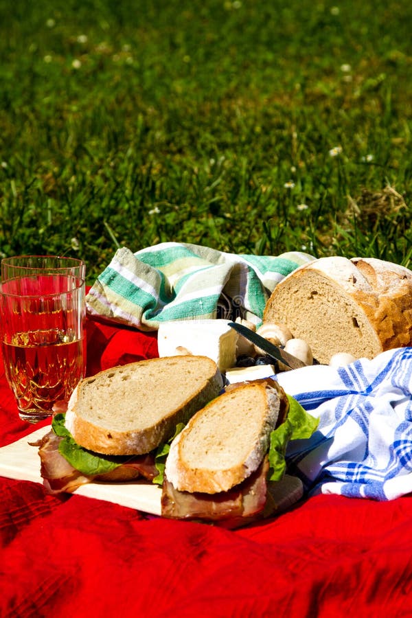 Picnic stock photo. Image of fruit, lunch, drink, break - 56040144