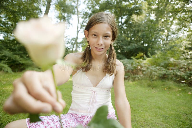 Picnic Offering Rose stock image. Image of hand, fresh - 24377603