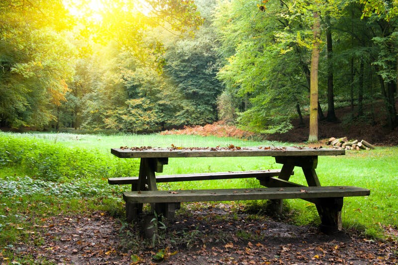 Picnic place stock photo. Image of brown, glade, country - 17323370