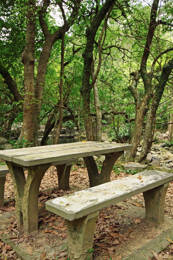 Forest Picnic Area stock photo. Image of camping, fall - 6067916