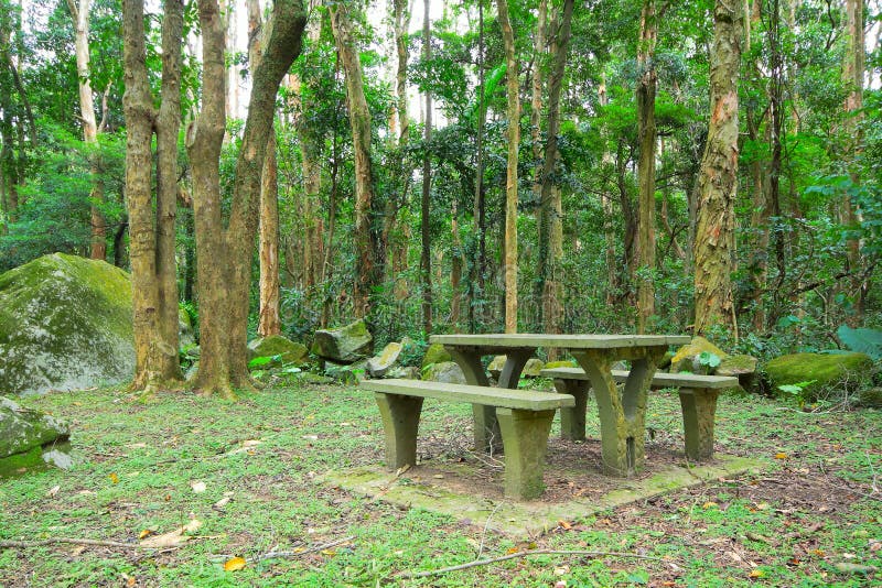 Picnic Place In The Green Forest Stock Photo - Image of table, place ...