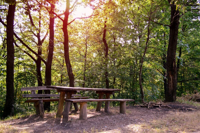 Picnic place in forest stock image. Image of empty, trees - 40791173