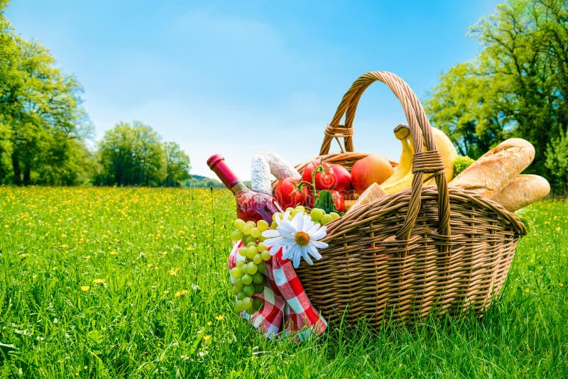 Picnic setting on meadow stock photo. Image of lawn, checked - 71458546