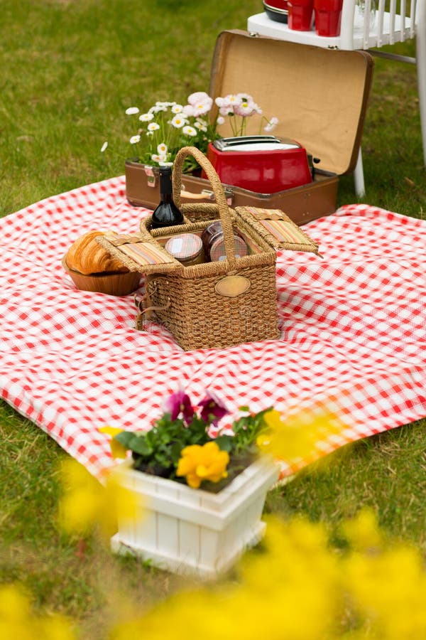 Picnic in the spring park stock photo. Image of basket - 69957006