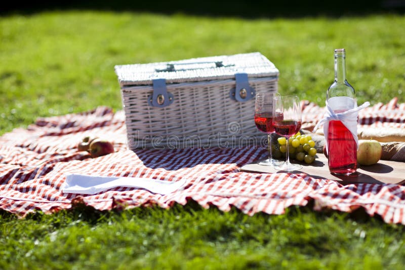 Picnic and sun! stock photo. Image of bottle, landscape - 26620236
