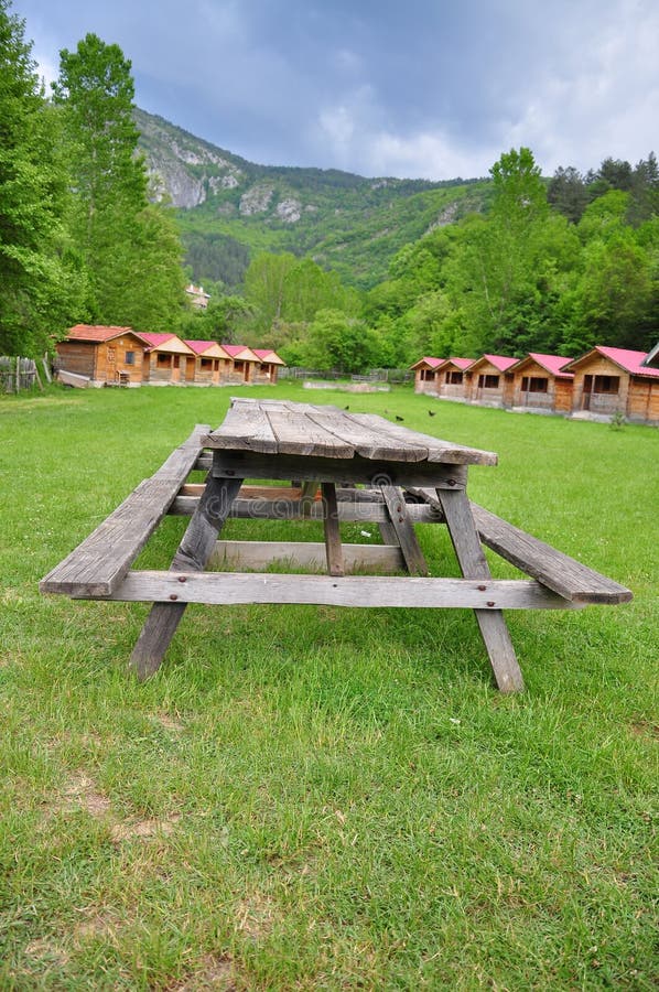 Picnic table stock photo. Image of green, food, meat - 21603852