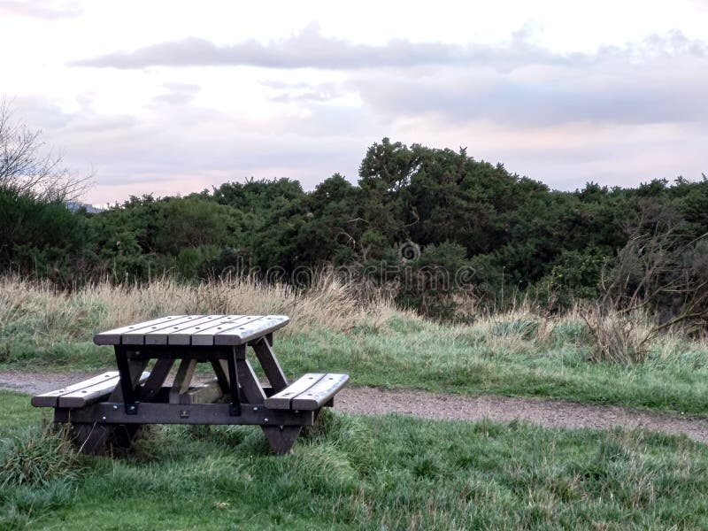 Picnic Table Bench Next To Vegetation and Path Stock Photo - Image of ...