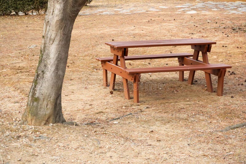 Picnic Table Bench Under Tree in the Park Stock Photo - Image of picnic ...