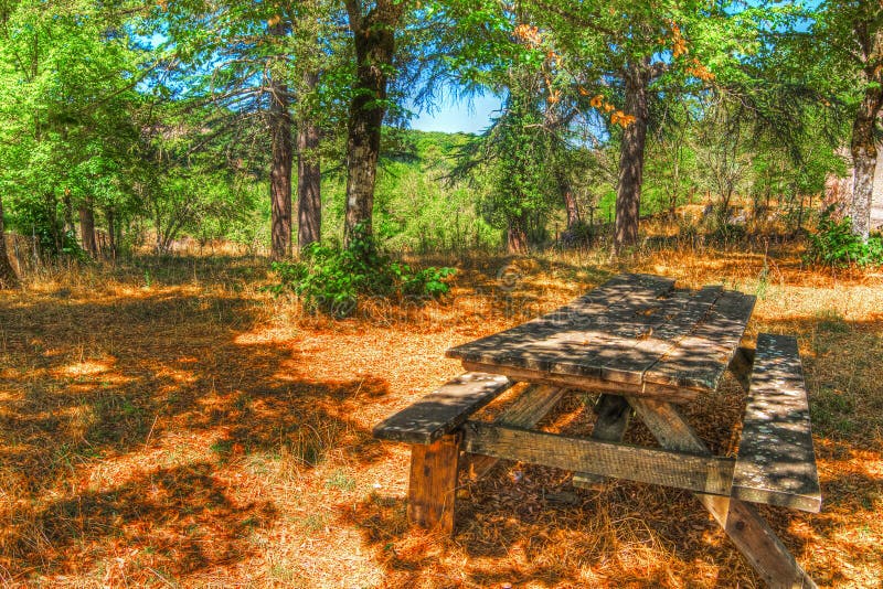 Picnic Table In Burgos Forest Stock Image - Image of leisure, dinner ...