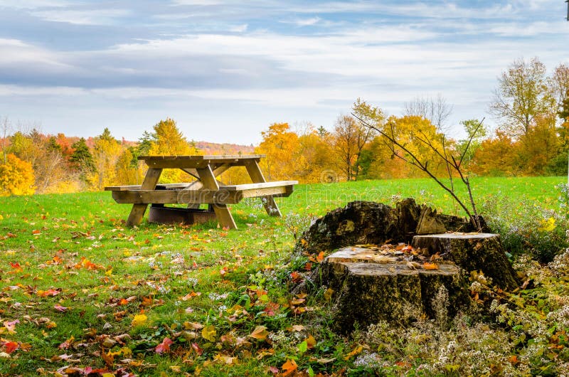 Picnic Table in a Field Covered with Fallen Autumn Leaves Stock Image ...