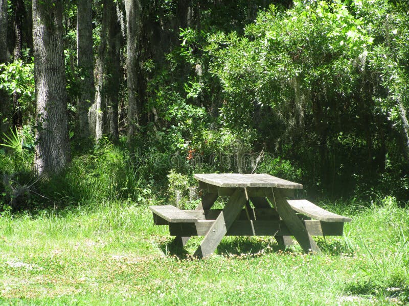 Picnic Table stock image. Image of nature, forest, green - 92811785