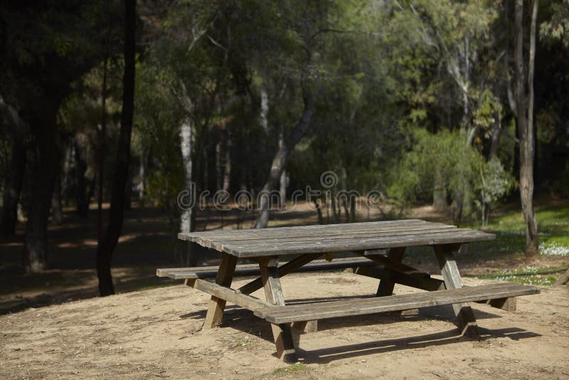 Picnic Table at a Forest on Greece Stock Photo - Image of summer, table ...