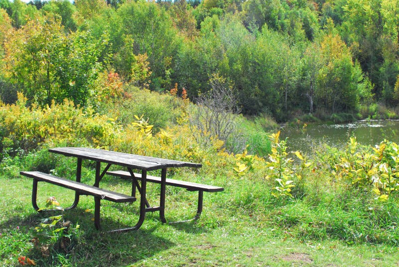 Picnic Table by Forest and Lake. Stock Photo - Image of picnic, outdoor ...