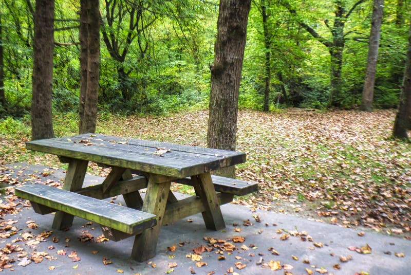 Picnic table in a forest. stock image. Image of picnic - 293980411