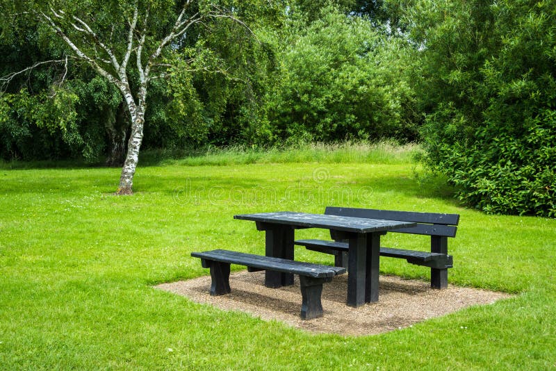 Picnic Table beside a Forest in Summer Stock Image - Image of ...