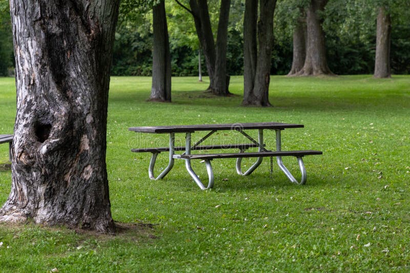 Picnic Table on Green Lawn and Trees in the Park in Summer Stock Photo ...