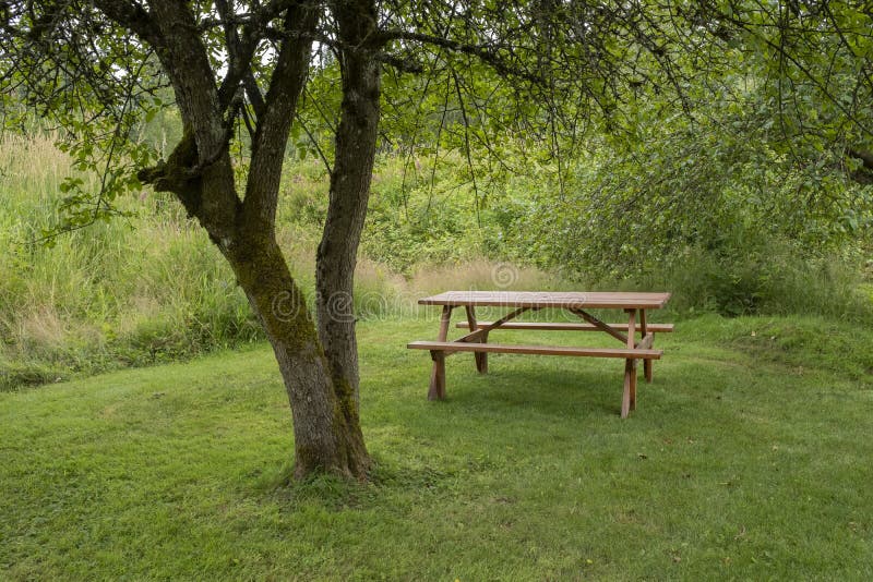 Inviting Picnic Table in the Corner of a Yard Stock Image - Image of ...