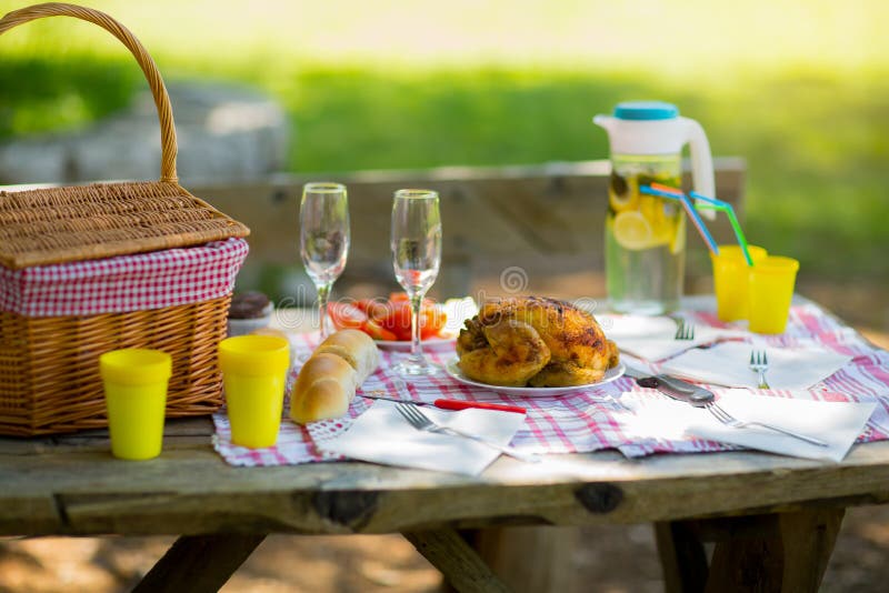 Picnic table in the nature stock photo. Image of basket - 73603068