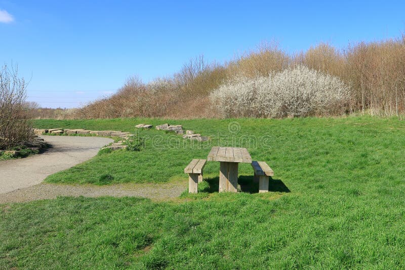 Picnic Table Overlooking a Beautiful Woodland Landscape Stock Image ...