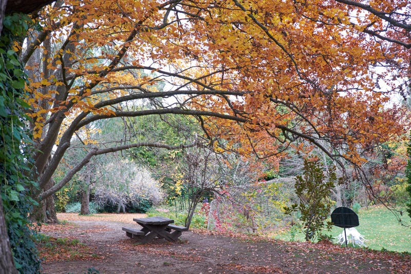 Picnic Table in Park in Autumn / Fall Stock Image - Image of season ...