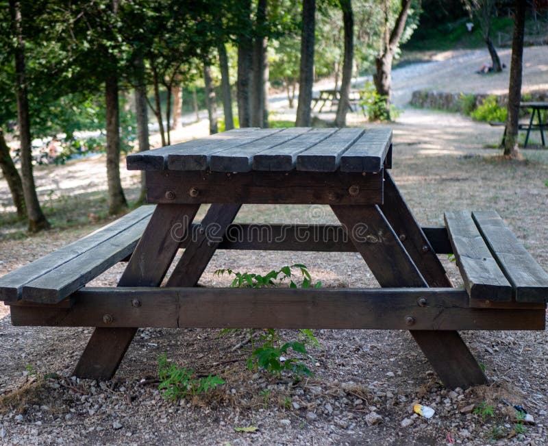 Picnic Table in the Park. Table Background of Free Space for Your ...