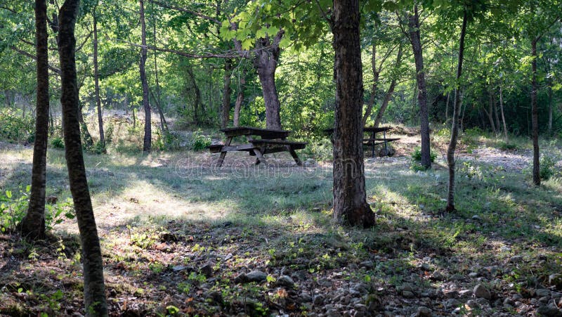 Picnic Table in the Park. Table Background of Free Space for Your ...