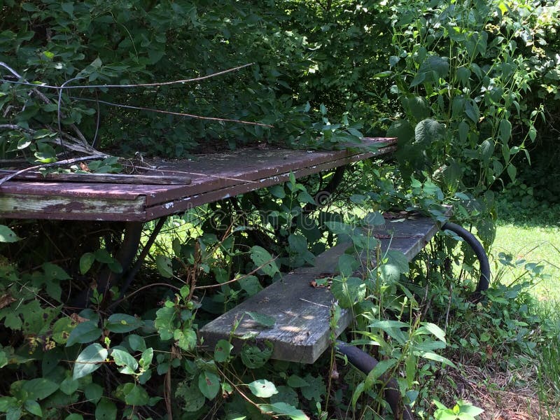Picnic table rotting stock image. Image of table, tangled - 75863057