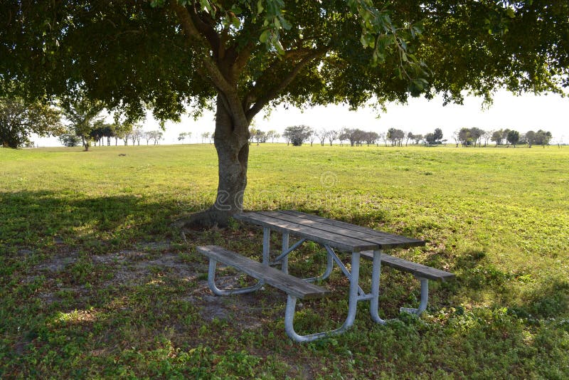 329 Picnic Table Under Tree Photos - Free & Royalty-Free Stock Photos ...