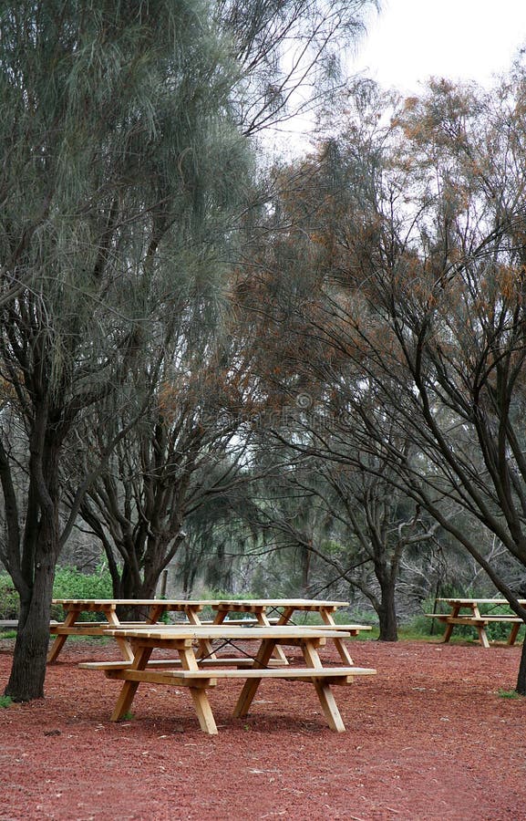 Picnic table and trees stock image. Image of wooded, lush - 16226967