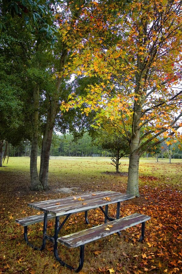 Picnic table under tree stock photo. Image of fallen, seating - 3938772