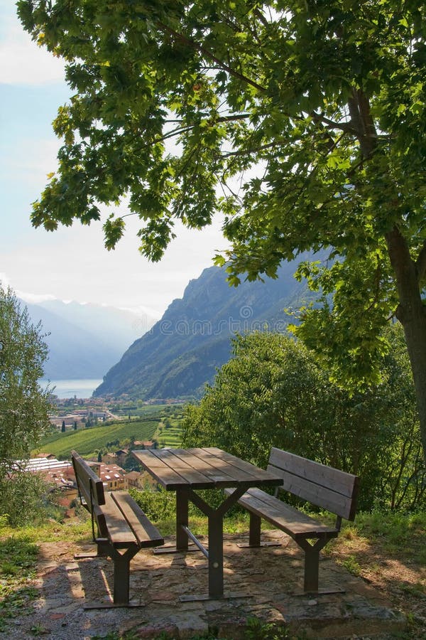 Picnic table under tree stock photo. Image of mountainous - 8937390