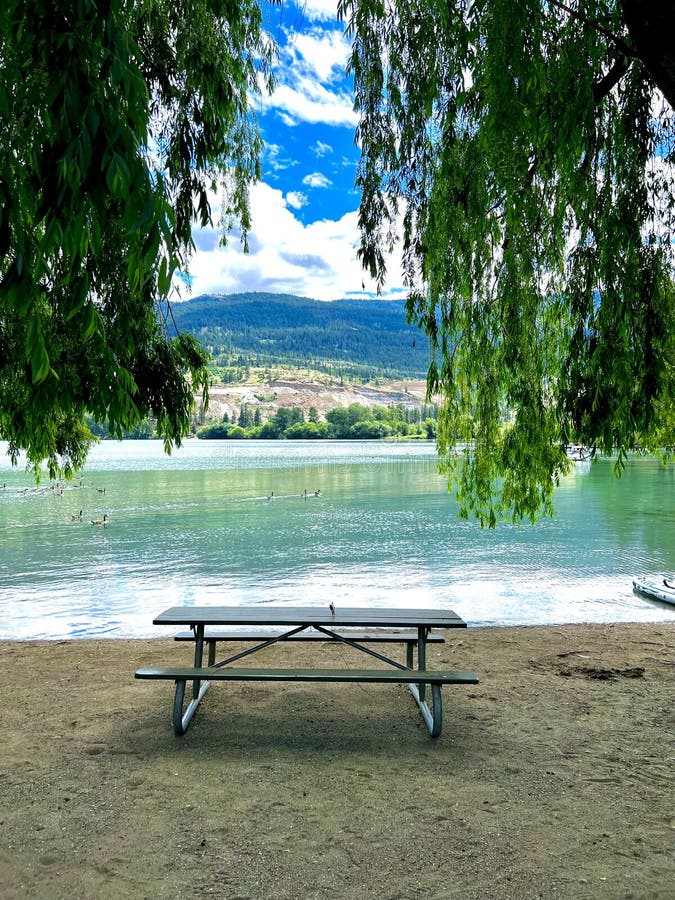 Picnic Table Under Tree with Ocean View in Park Stock Image - Image of ...