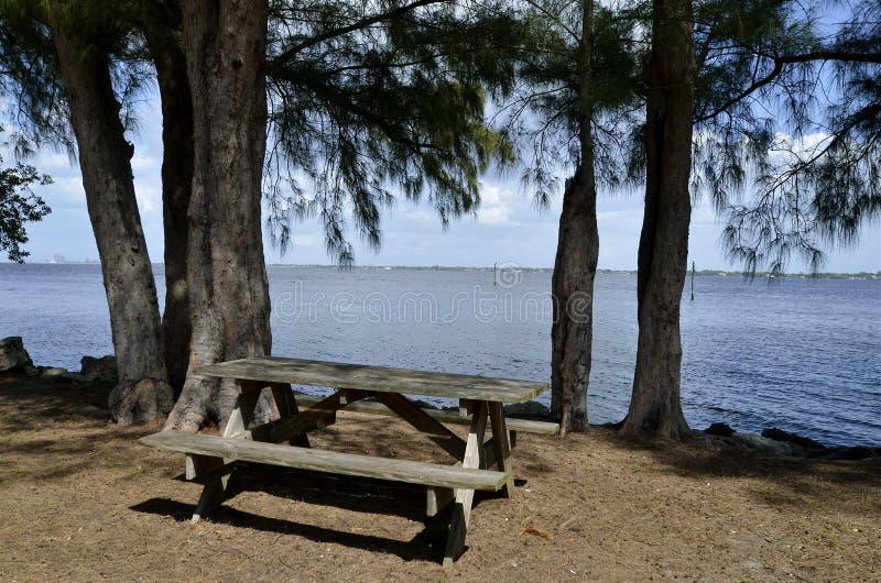 Picnic Table Under the Trees Stock Image - Image of fort, relaxation ...