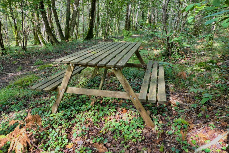 Picnic table in woodland stock image. Image of woodland - 339548549