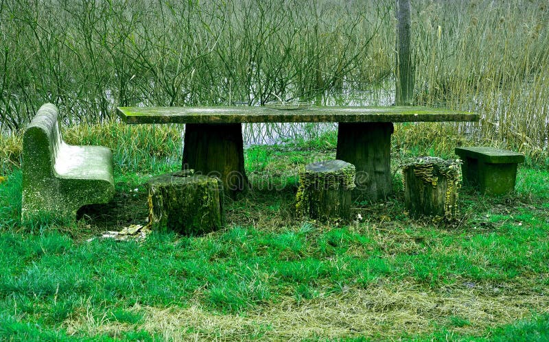 Picnic table in the woods stock image. Image of countryside - 18444577