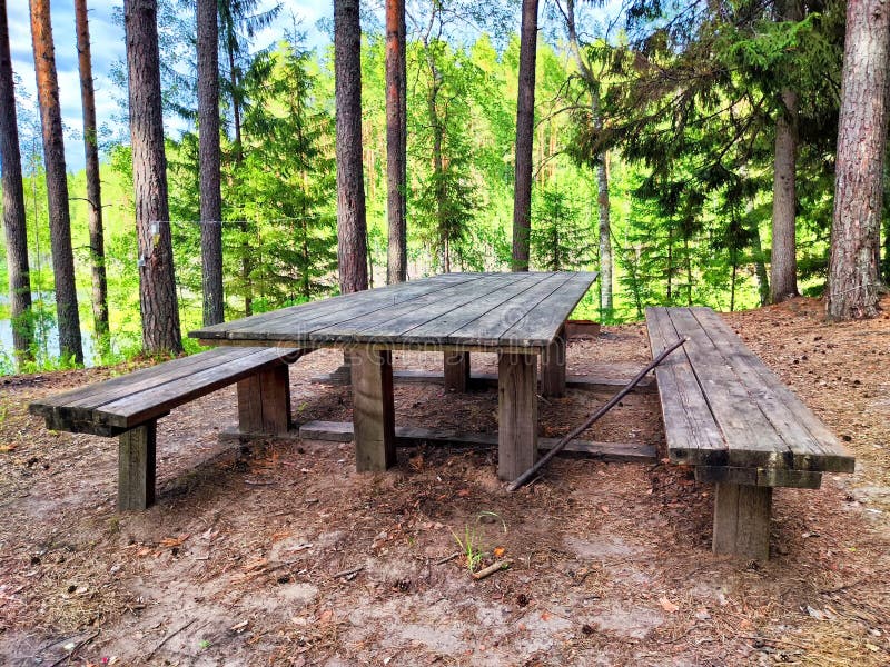 Picnic Table in the Woods. Nature Travel and Rest in Summer or Spring ...