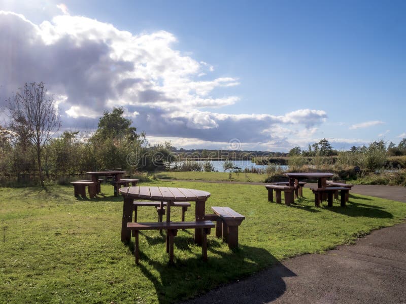 Picnic Tables on Grass beside a Lake Stock Image - Image of blue ...