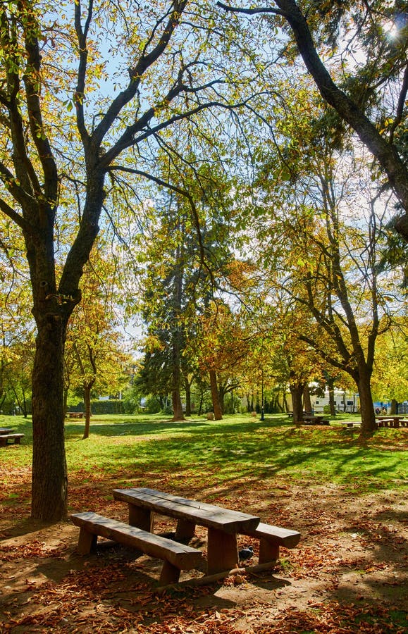 Picnic tables at the park stock image. Image of colorful - 75879795