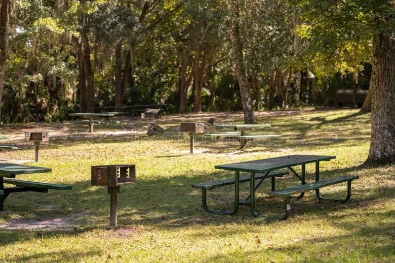 Picnic Tables in the Park Ocala National Forest Stock Image - Image of ...
