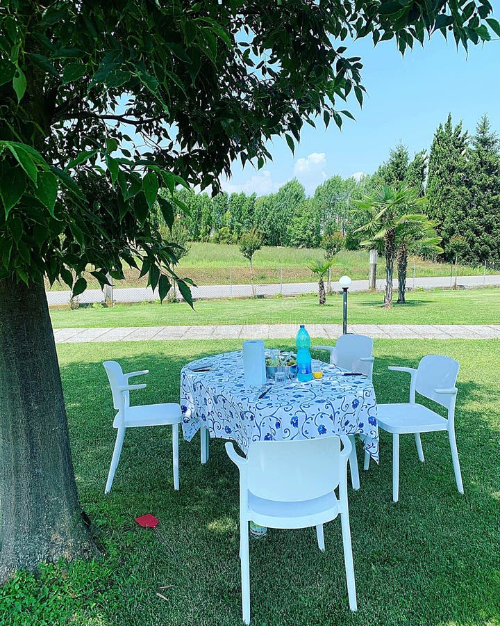 458 Picnic Table Under Tree Stock Photos - Free & Royalty-Free Stock ...