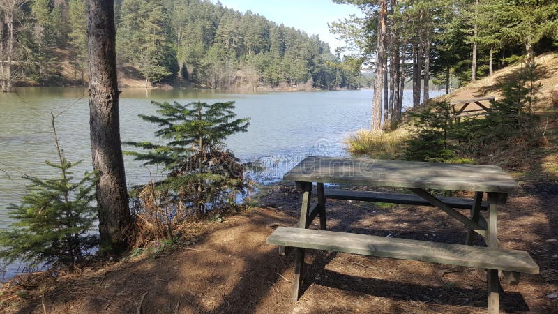 Picnic table by the lake stock image. Image of lake - 173575889
