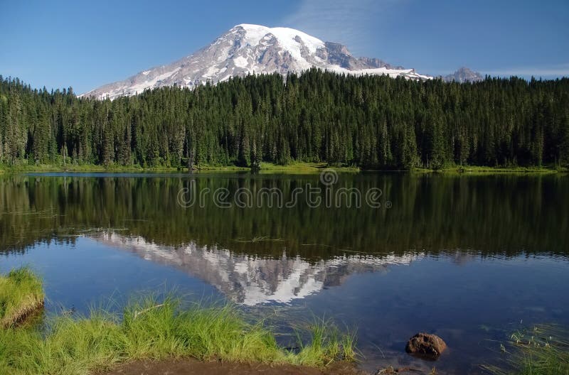 O Monte Rainier, Washington, EUA Imagem de Stock - Imagem de turista ...