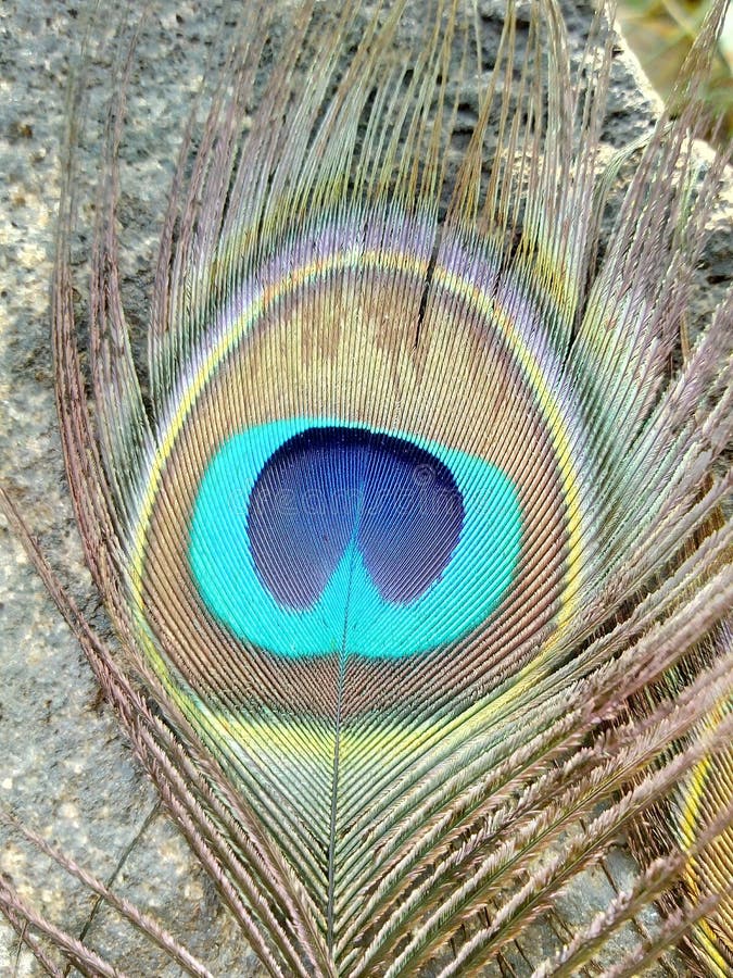 Picoc stock image. Image of emage, favourite, wonderful - 120857361