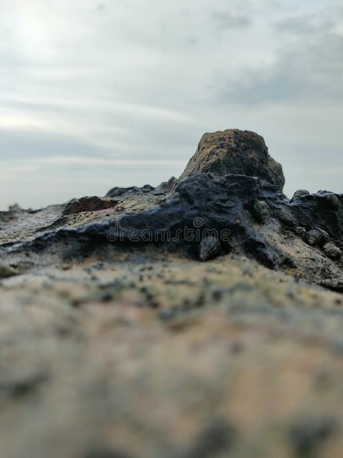 Pict of the bottom rock stock photo. Image of nature - 263213626